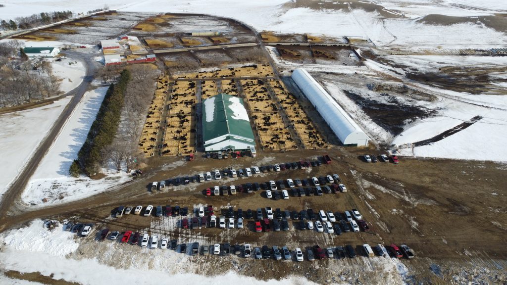 2026 Winter Cattle Journal | Schaff Angus Valley | TSLN.com