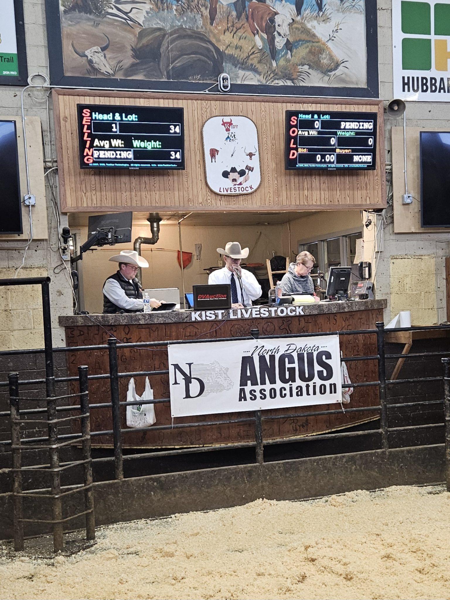 North Dakota Angus Association Select Bull & Female Sale | TSLN.com