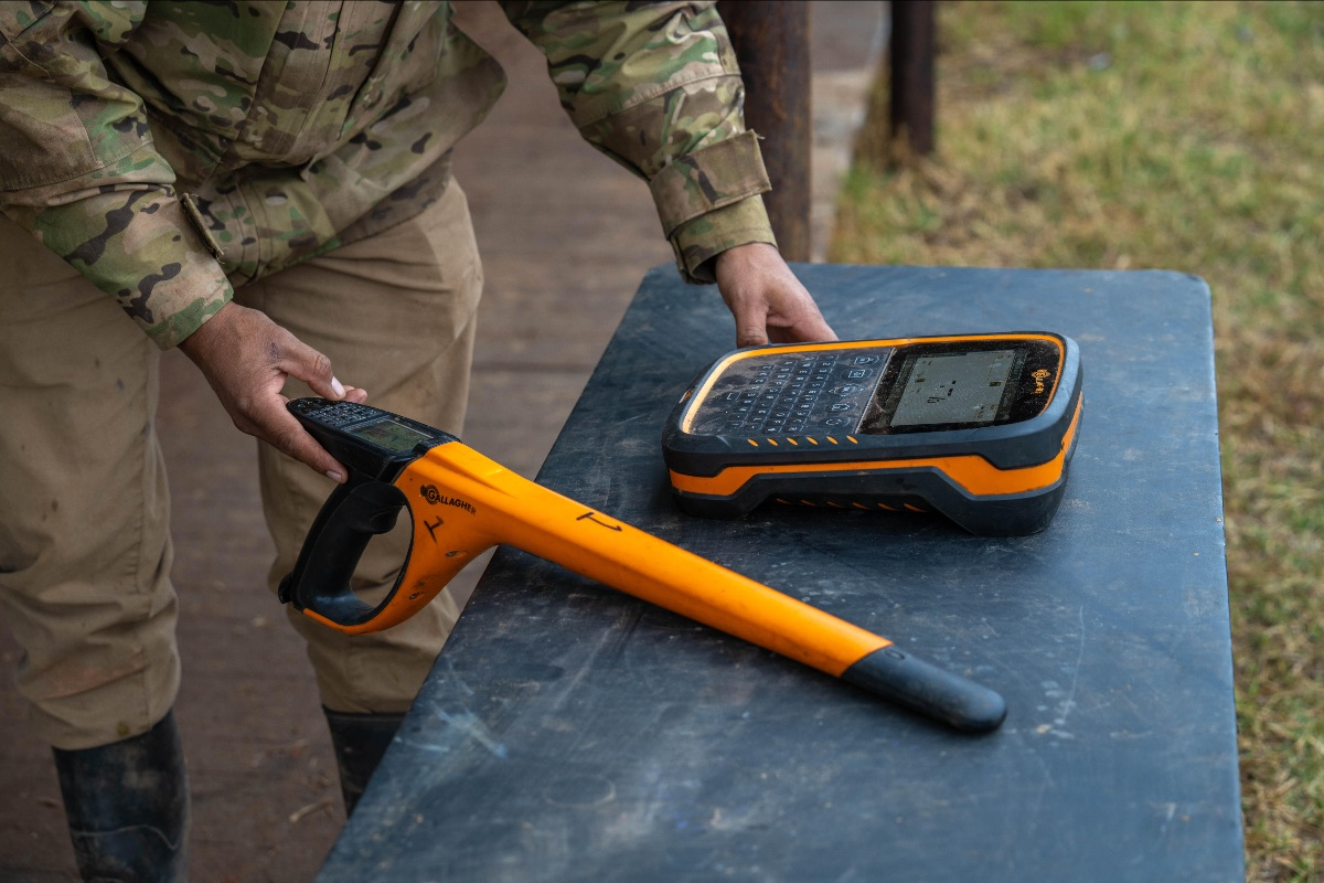 Measurement, Management — and Momentum | TSLN.com