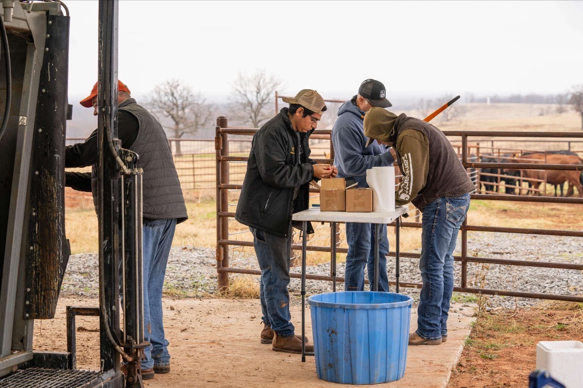 Measurement, Management — and Momentum | TSLN.com