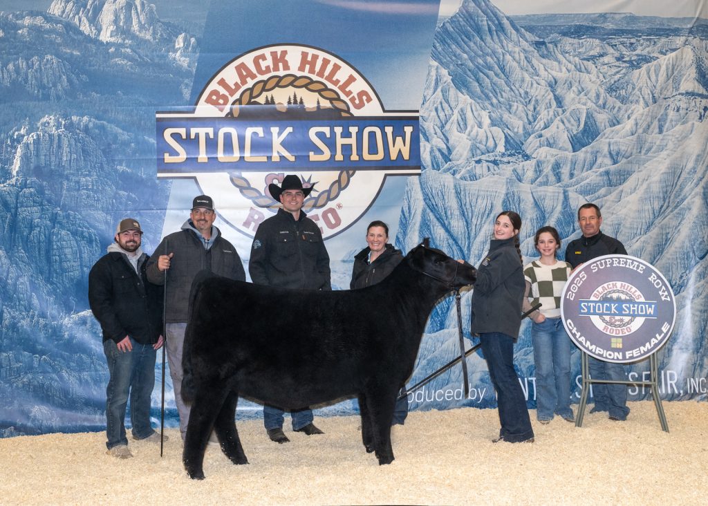 BHSS Premier 2026 | Special Flush Yields 2025 BHSS Supreme Row Heifer ...