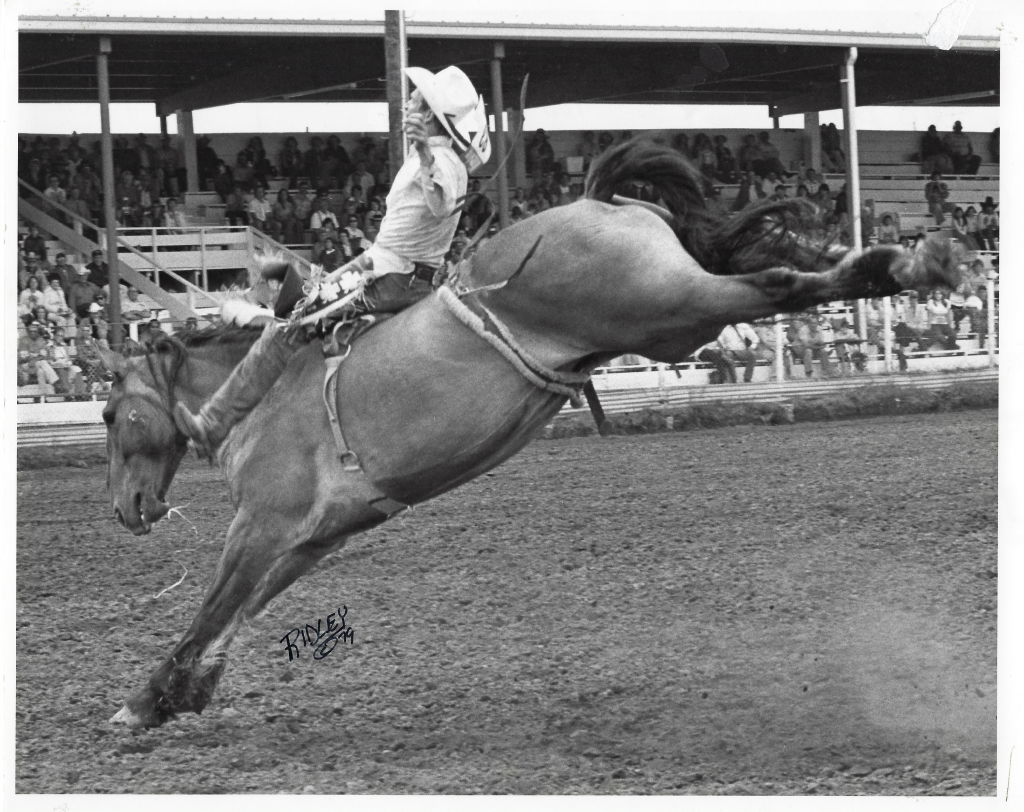 BHSS Premier 2026 | Centennial Celebration: Sutton Rodeo Co. celebrates ...