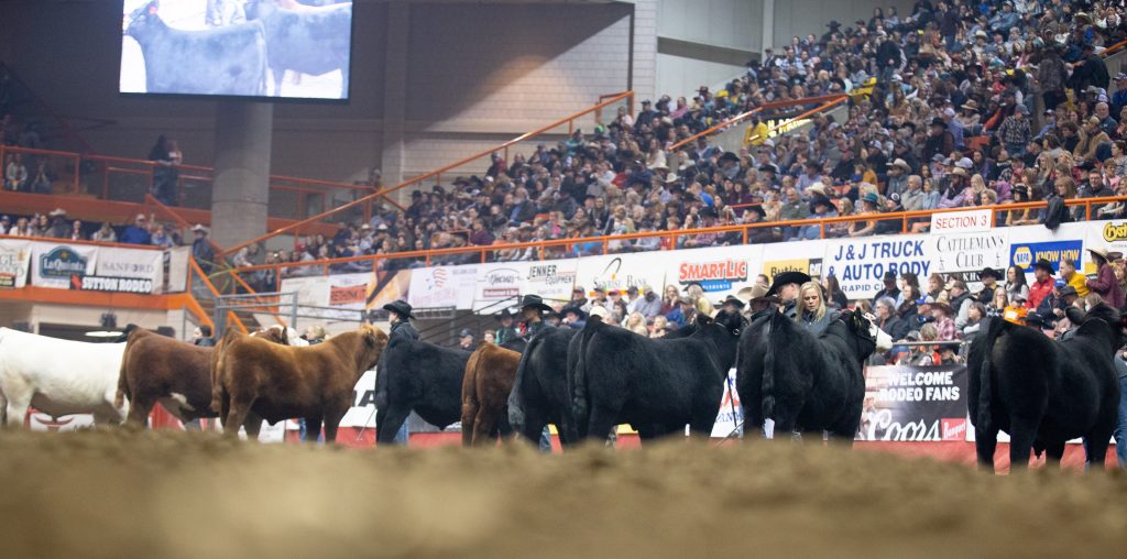 BHSS Premier 2026 | The Legacy and Growth of the Black Hills Stock Show ...