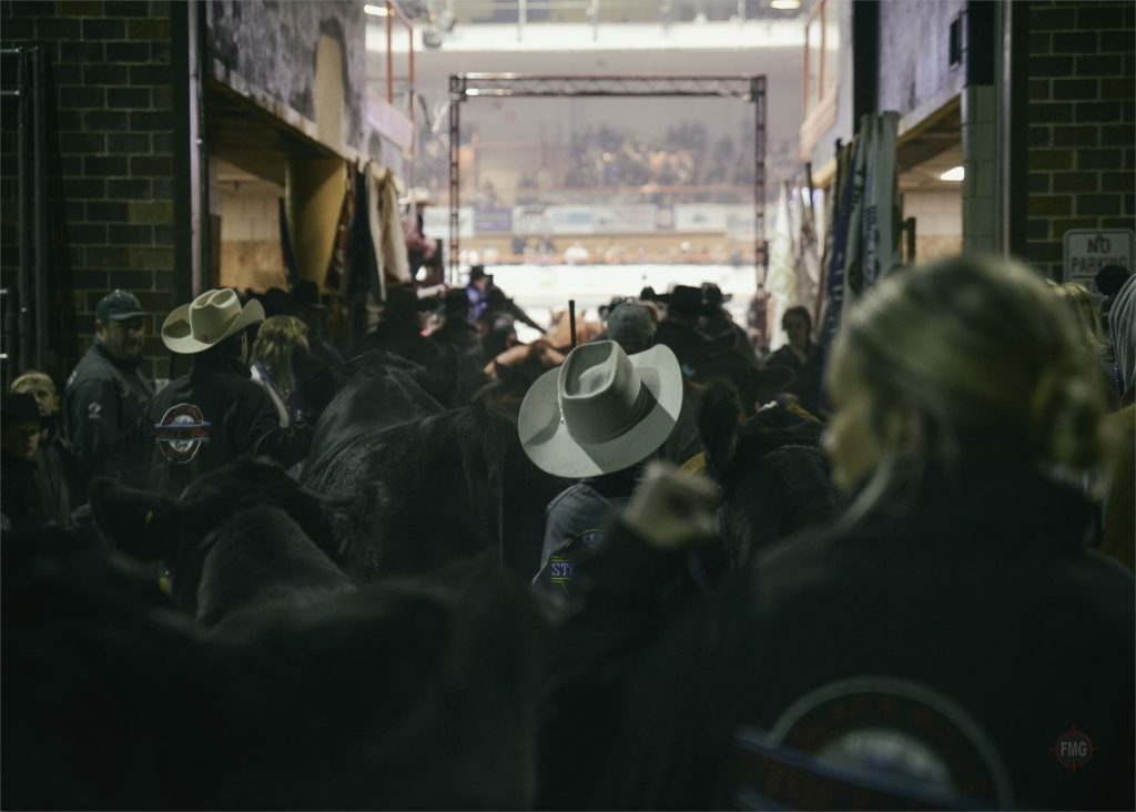 BHSS Premier 2026 | The Legacy and Growth of the Black Hills Stock Show ...