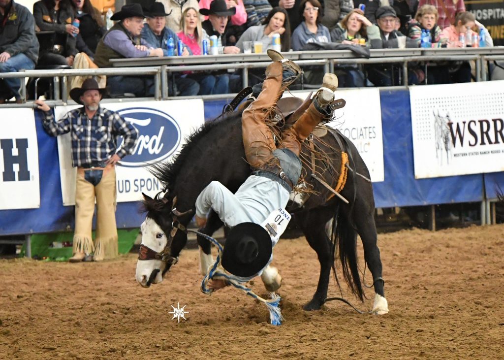 BHSS Premier 2026 | The Legacy and Growth of the Black Hills Stock Show ...
