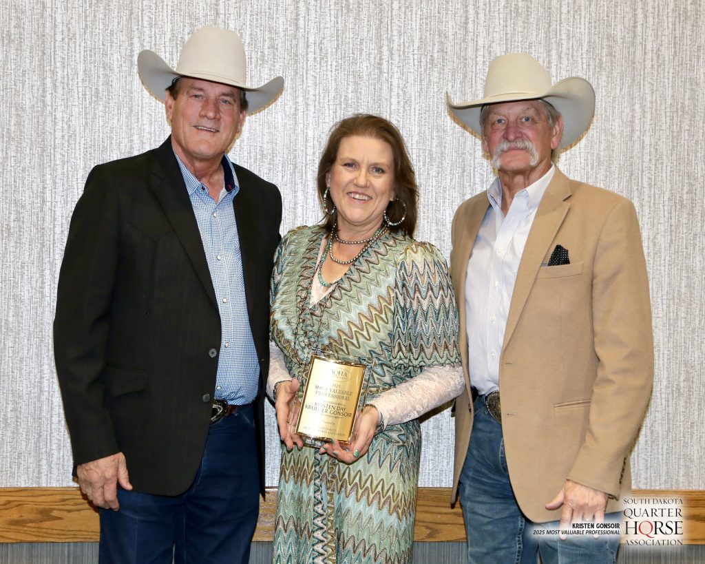 SDQHA Banquet Photo Gallery | TSLN.com