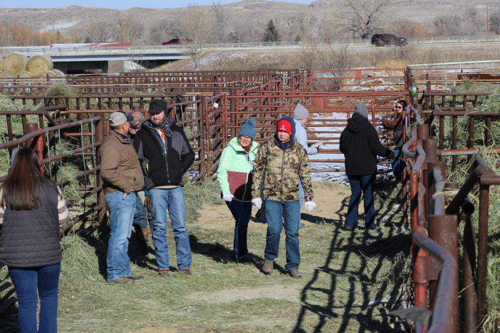 Little Goose Ranch | TSLN.com