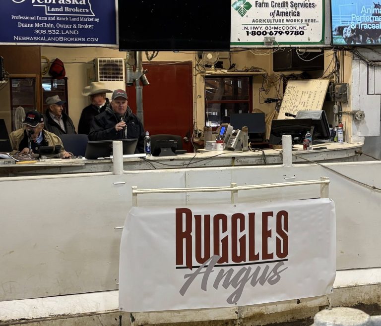 Ruggles Angus 10th Annual Production Sale | TSLN.com