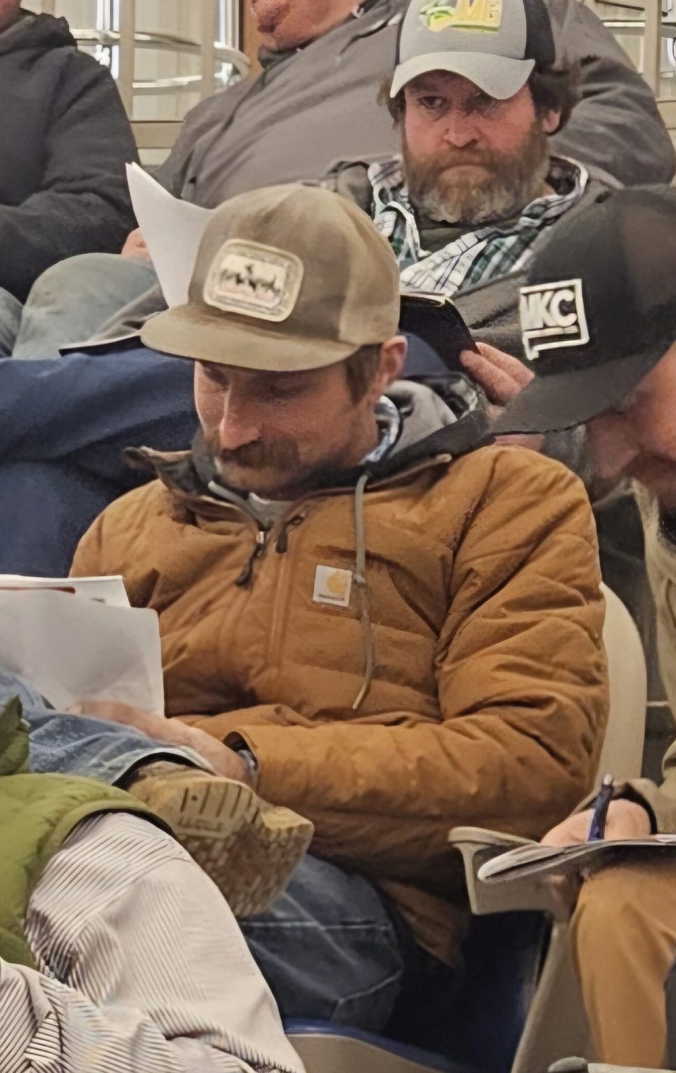 Silbernagel Angus Herd Liquidation | TSLN.com