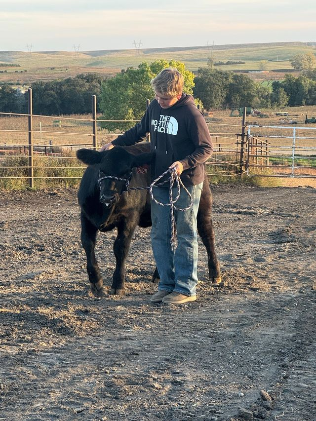 ‘Everyone pitches in’ – Petersen ranch family of Pukwana | TSLN.com