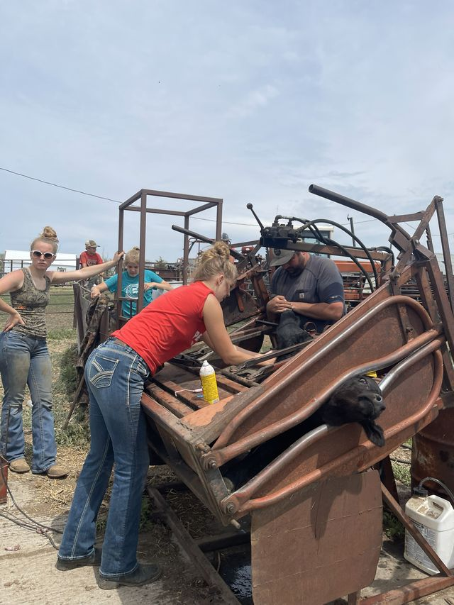 ‘Everyone pitches in’ – Petersen ranch family of Pukwana | TSLN.com