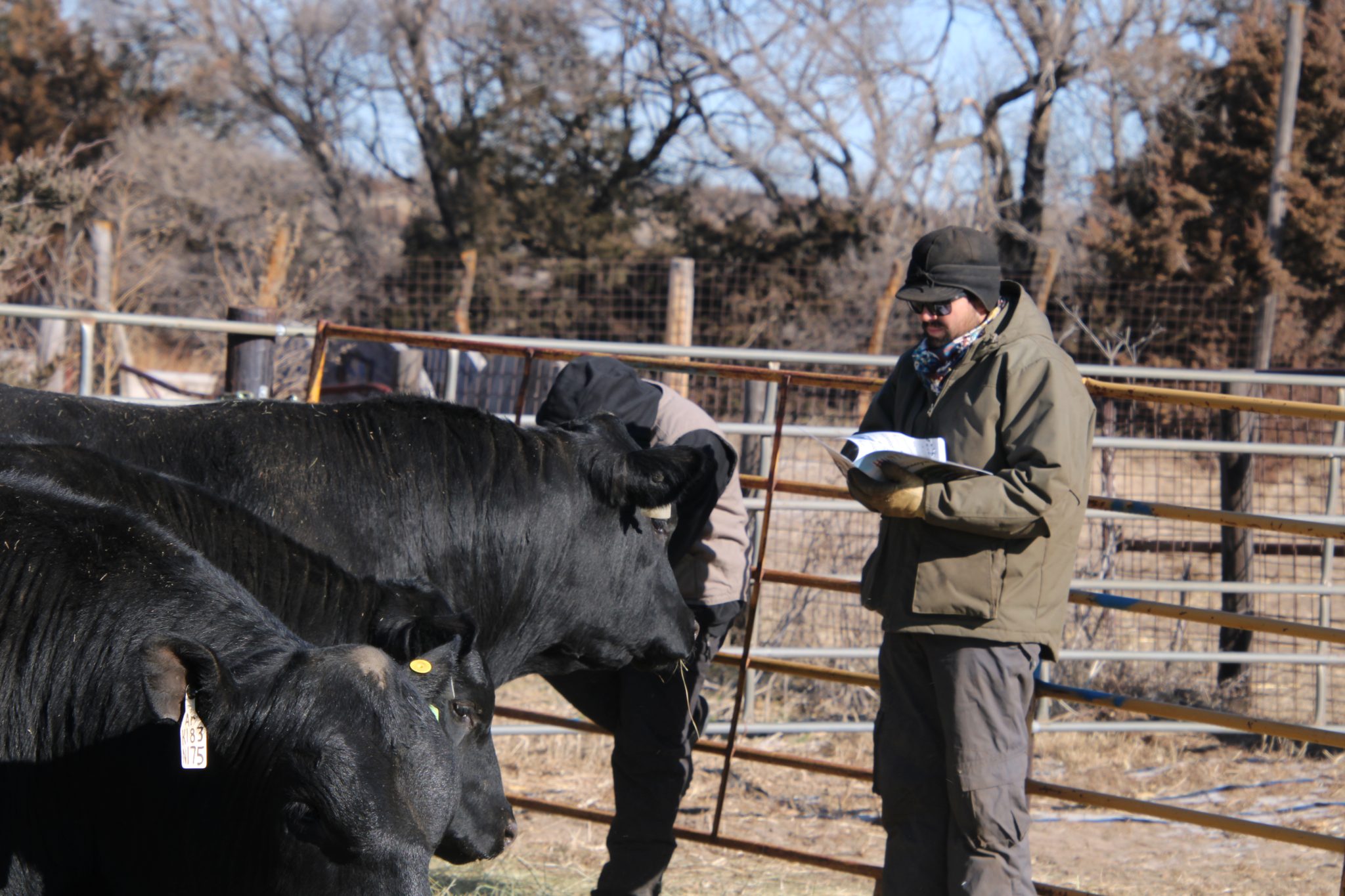 Hunt Angus | TSLN.com