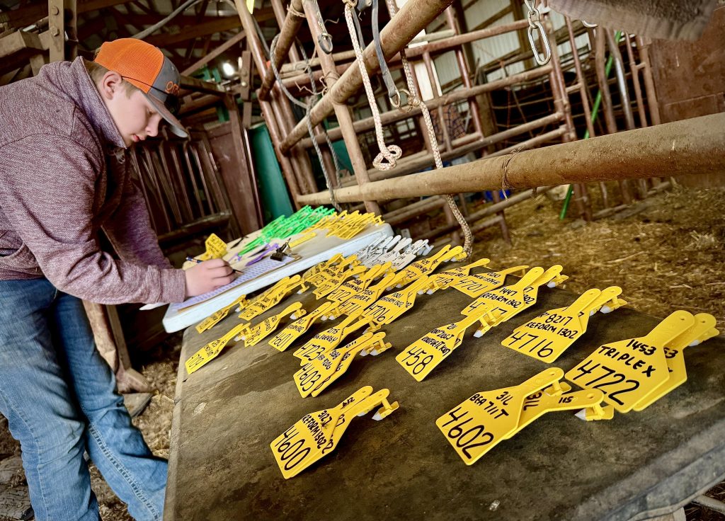 Beastrom Ranch focuses on disposition, pounds of beef | TSLN.com