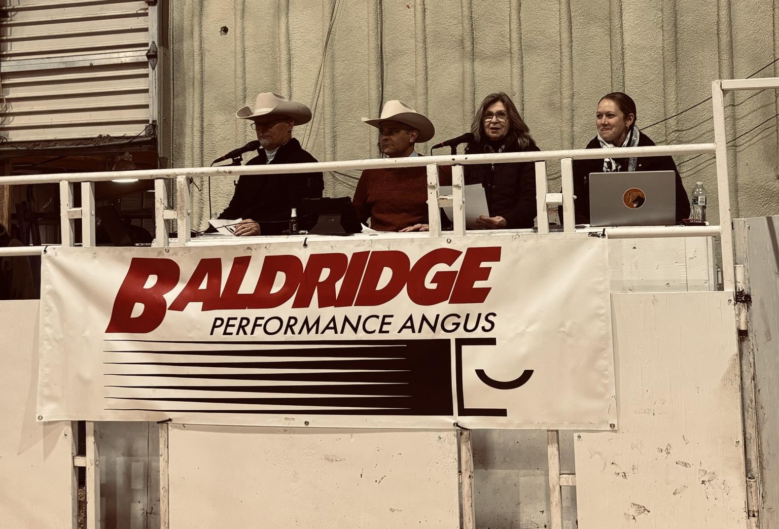 Baldridge Performance Angus Annual Bull Sale | TSLN.com