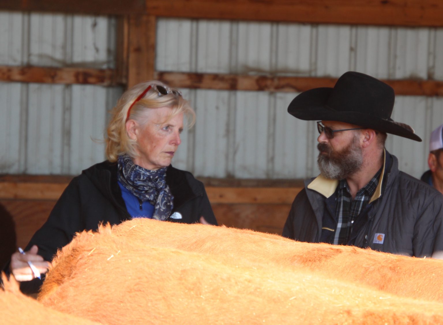 Stroh Hereford Ranch 36th Annual Ranch-Ready Production Sale | TSLN.com