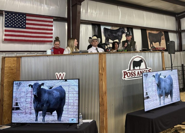 Poss Angus Annual Bull Sale | TSLN.com