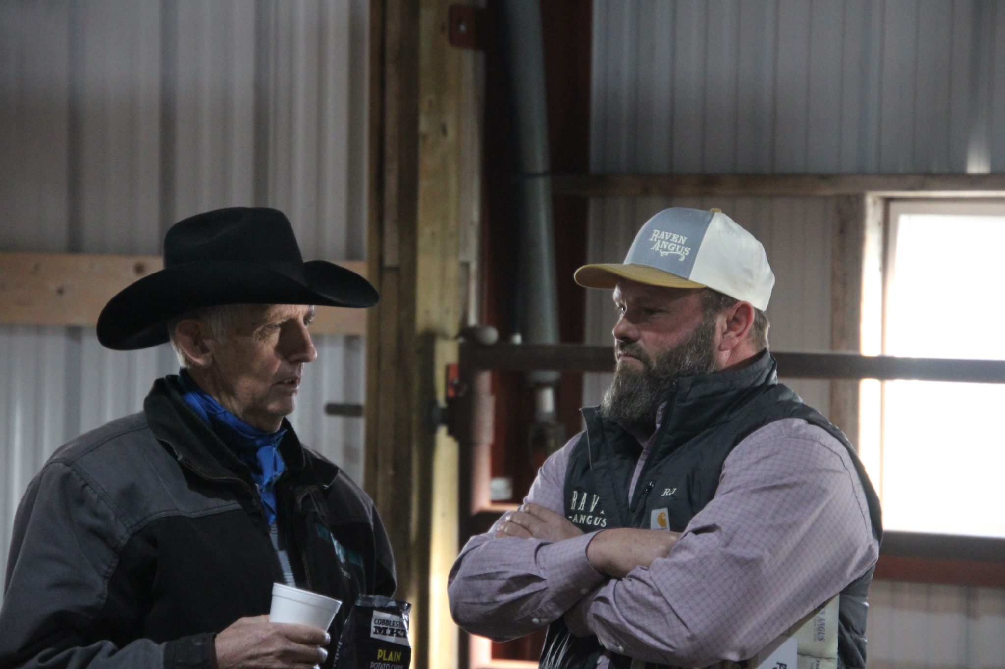 Petersek’s Raven Angus Annual Bull Sale | TSLN.com