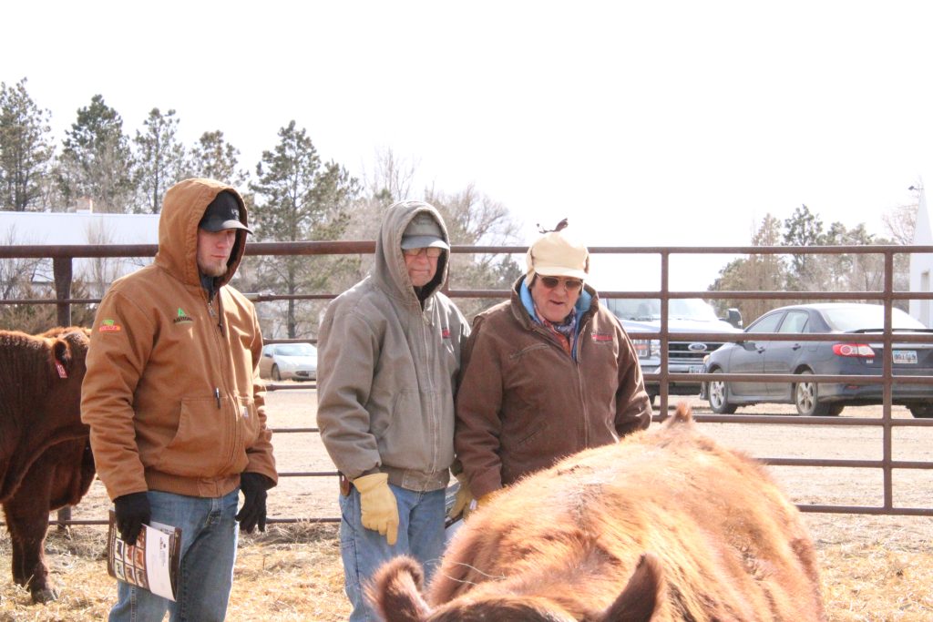 Lone Tree Angus 14th Annual Production Sale | TSLN.com