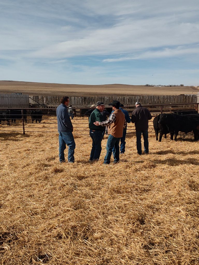 Maus Angus Ranch | TSLN.com