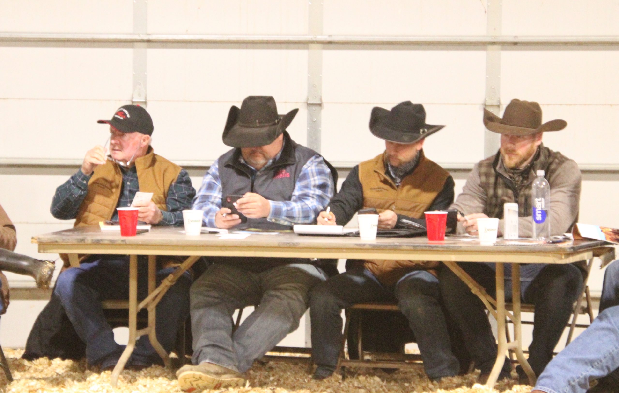 Bieber Red Angus “Bieber Fever” Performance Yearling Bull Sale | TSLN.com