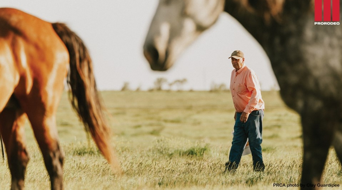 Sutton Rodeo raising next generation of NFR bucking stock | TSLN.com