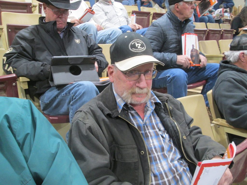 Schauer Angus 36th Annual Bull Sale | TSLN.com