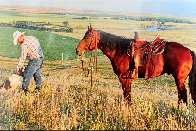 Jim Schott: From Limousin legacy to the cutting horse pen | TSLN.com