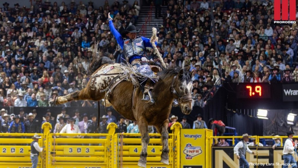 Dakota Rodeo’s star bucking horse Cash Deal passes away at 14 | TSLN.com