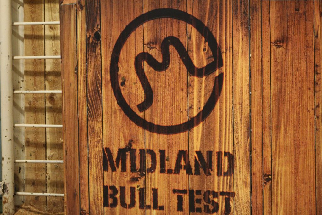 Midland Bull Test, The Final Sort Sale | TSLN.com