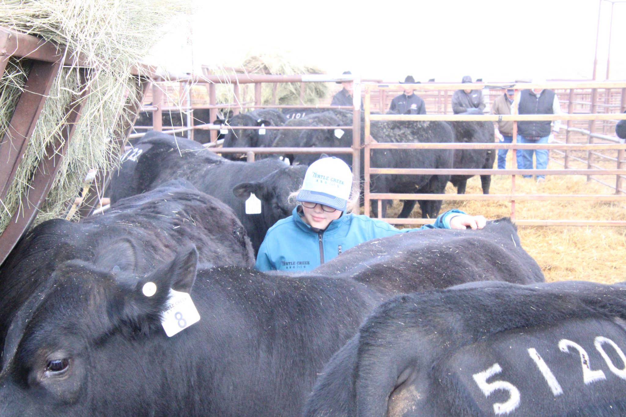Turtle Creek Angus Annual Production Sale | TSLN.com