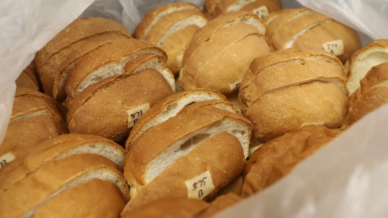 Nebraska’s small-grains program produces award-winning wheat for baking ...