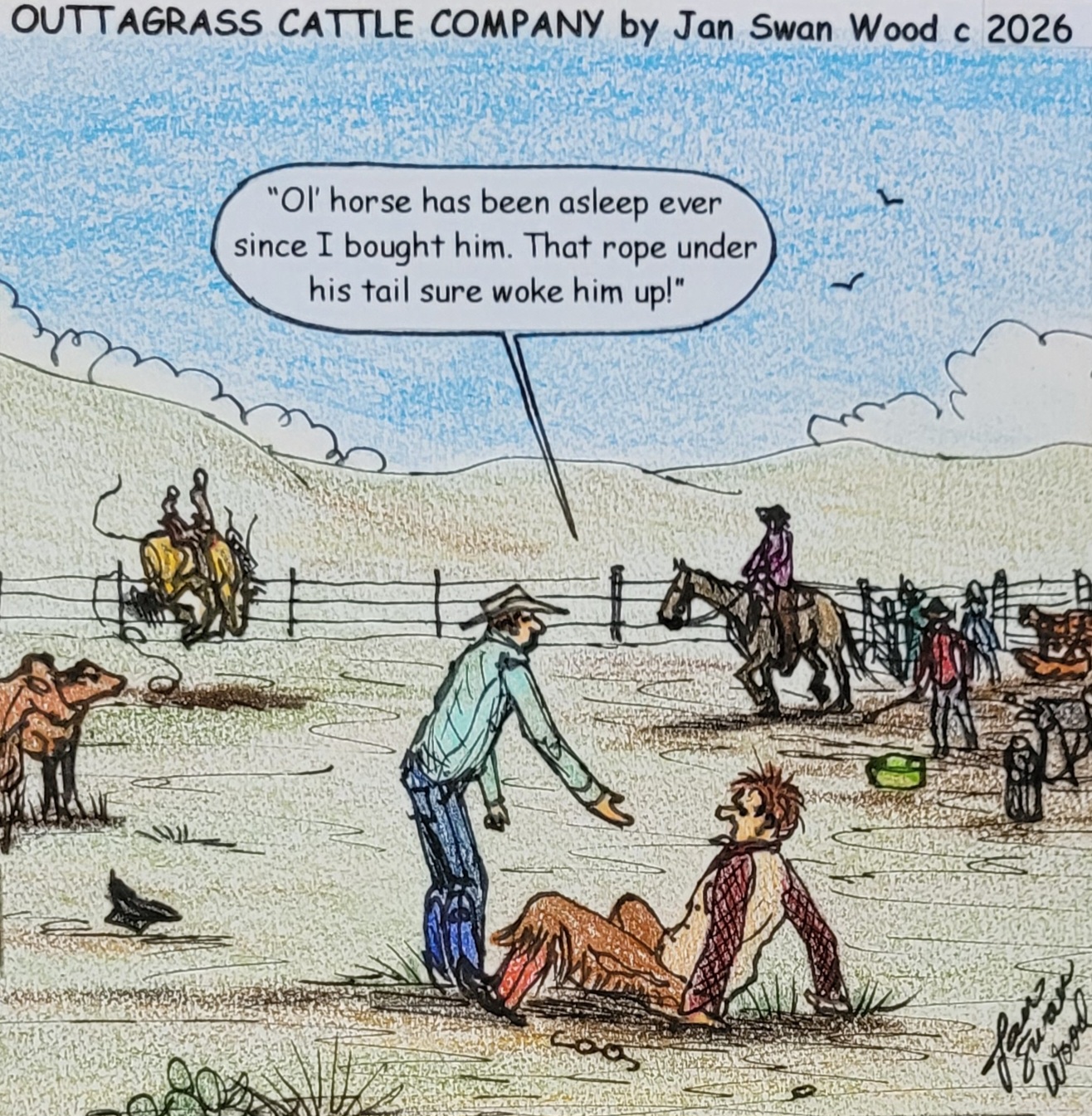 Outtagrass Cattle Company | TSLN.com