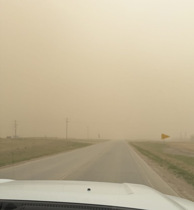 Dry, dusty conditions can increase pneumonia risk in cattle, warns NDSU ...