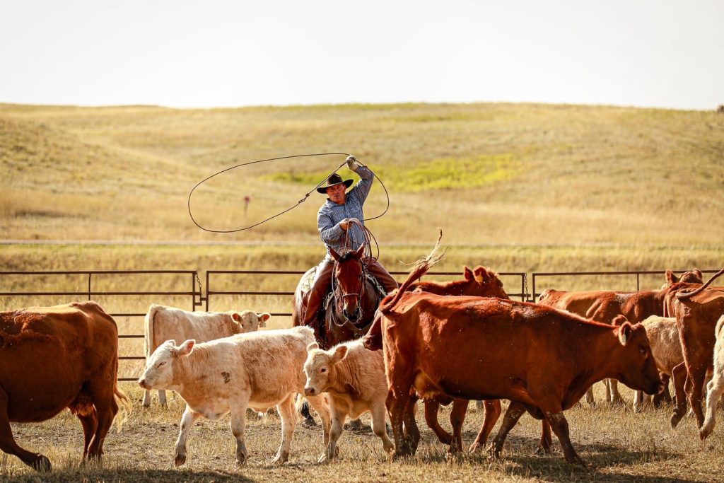AgriCULTURE 2026 | Matt Wald: Not just a cowboy lawyer | TSLN.com