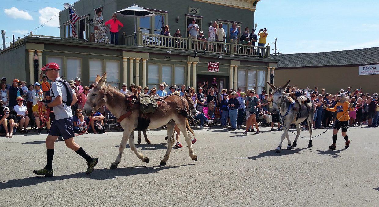 Social Summit: Fairplay Burro Days (video) | SummitDaily.com