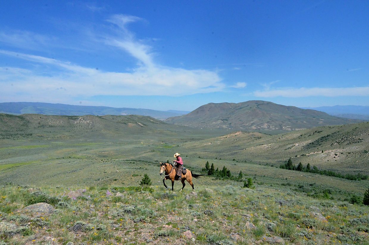 Real Colorado cattle drive | SummitDaily.com
