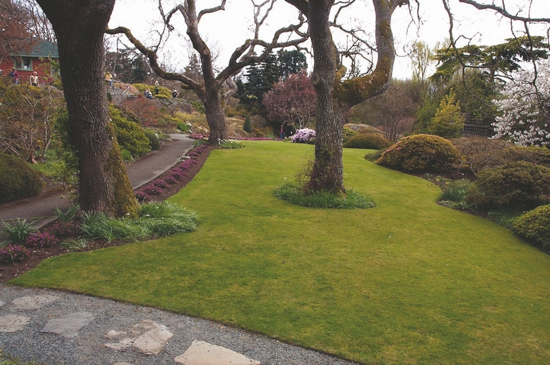 The components of landscape design | SummitDaily.com