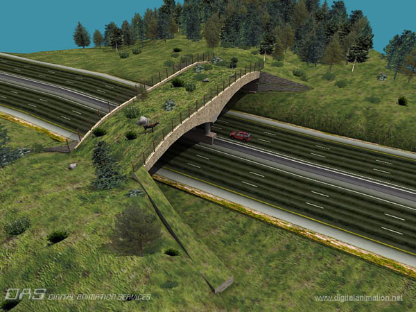Can you design an I-70 bridge for wildlife? | SummitDaily.com