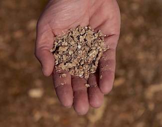 Beetle-kill pellets find new purpose in absorbing oil and gas spills ...