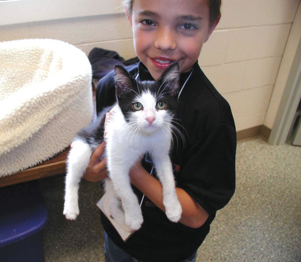 Summit County’s animal shelter is seeking prospective owners for large ...