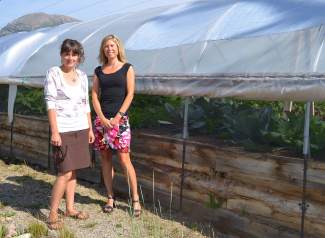 On Summit County’s menu: Backyard chickens, busy bees and community ...