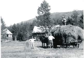 The history of Fiester Preserve near Bill’s Ranch in Frisco ...