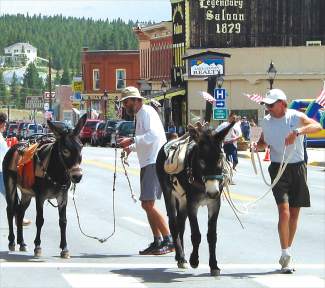 Pack Burro Racing heads to Idaho Springs | SummitDaily.com