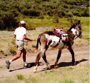 Summer runs wild in Park County | SummitDaily.com