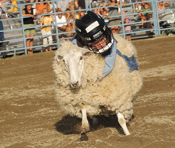 Mutton busters brave sheep attitude | SummitDaily.com