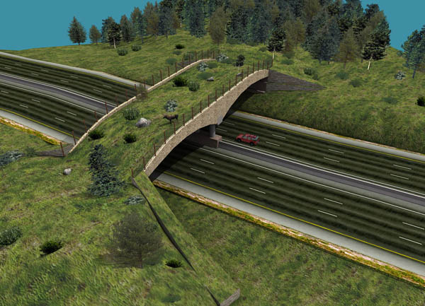 Wildlife overpasses gain new cachet amid growing traffic volume ...