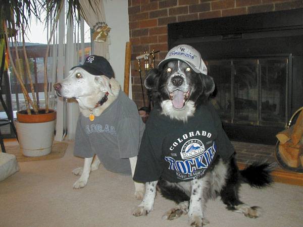 Summit Up | SummitDaily.com