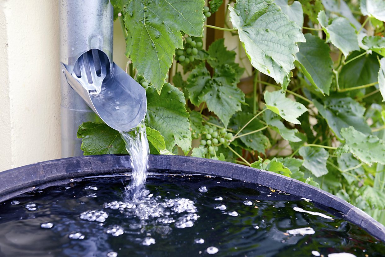 Household rain-barrel law takes effect Wednesday | SummitDaily.com
