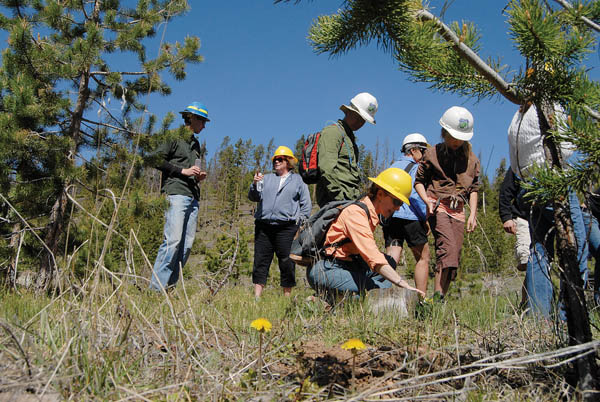 Wild Colorado: Forestry in the Field series brings forests to life ...