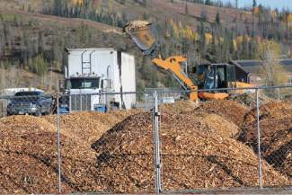 Summit County chipping program returns for round three | SummitDaily.com